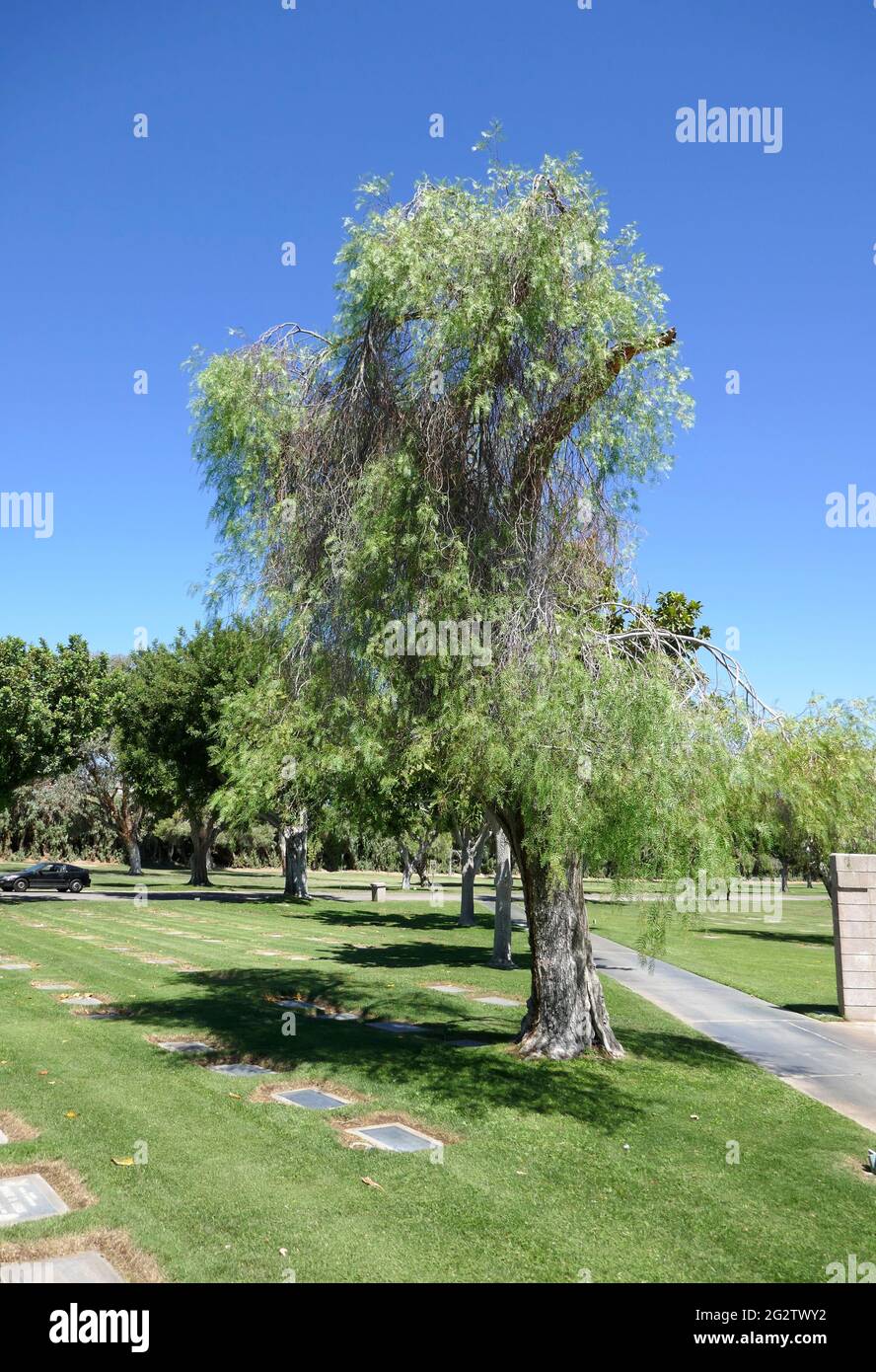 Cathedral City, California, USA 10th June 2021 A general view of ...