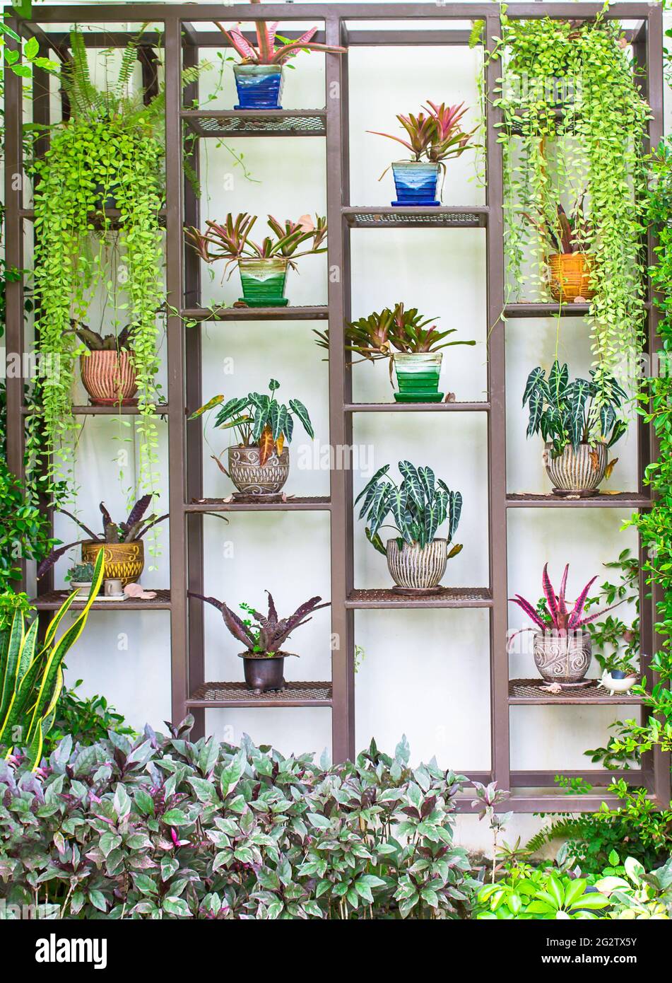 Olive tree pots hi-res stock photography and images - Alamy