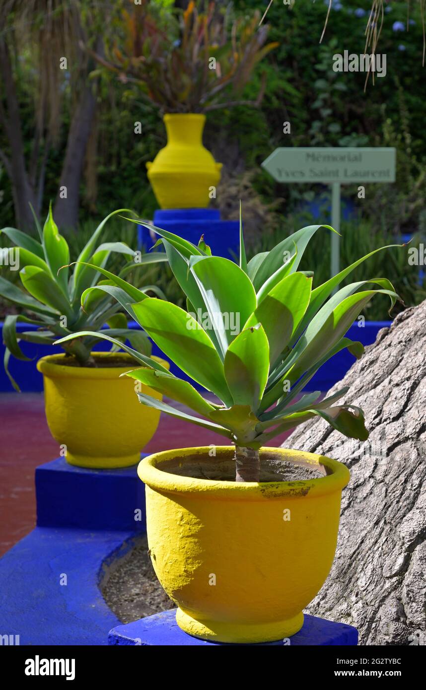 Ysl museum morocco hi-res stock photography and images - Alamy