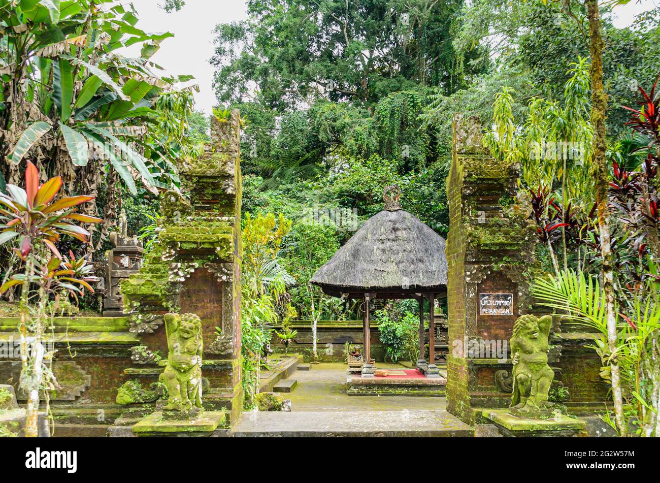 Batukaru bali hi-res stock photography and images - Alamy