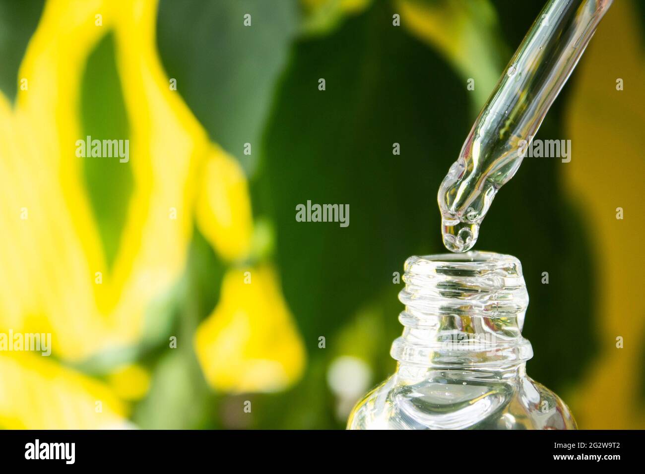 Serum drips from the test tube. Ointment for the face. Anti-wrinkle ...