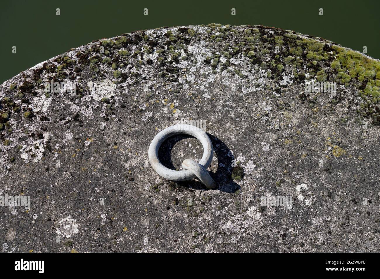 A mossy stone surface with a metal ring and loop on it outside Stock ...