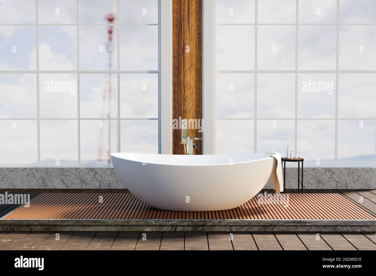 luxury toilet design with wide angle view, 3d illustration rendering ...