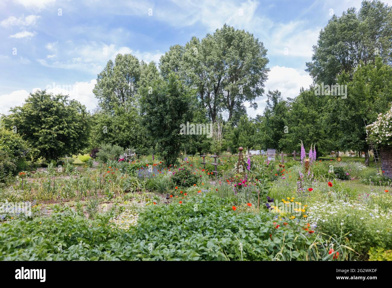 Herbolzheim, Germany. 12th June, 2021. View into a large allotment ...