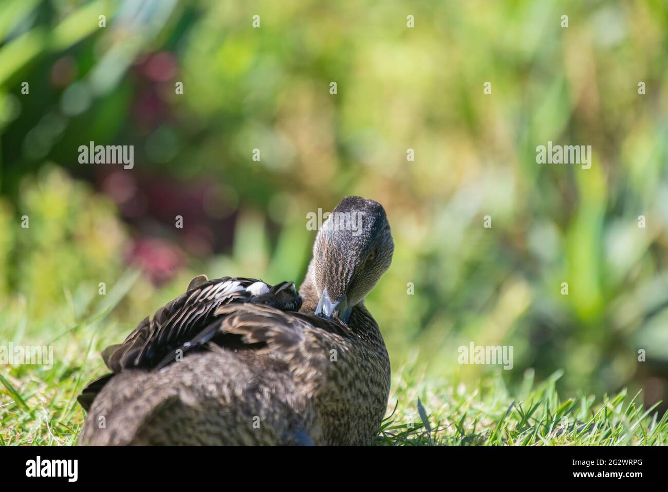 Grey teal hi-res stock photography and images - Alamy