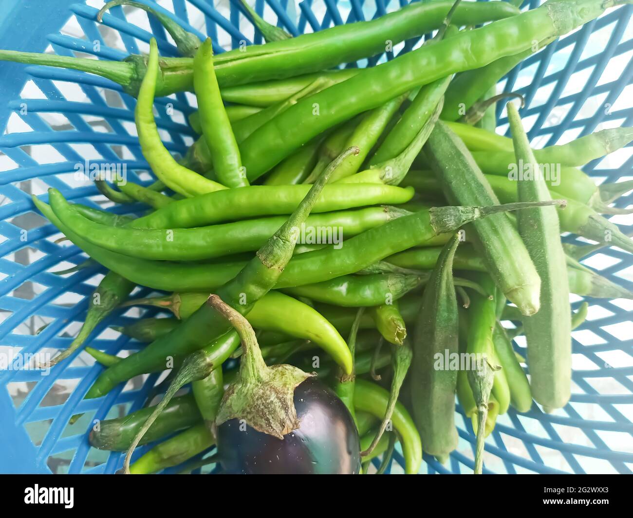 Fresh green chili pepper isolate in a basket.fresh chili . spicy green ...