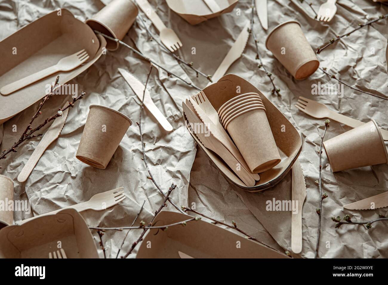 Eco-friendly disposable tableware used in fast food, restaurants ...