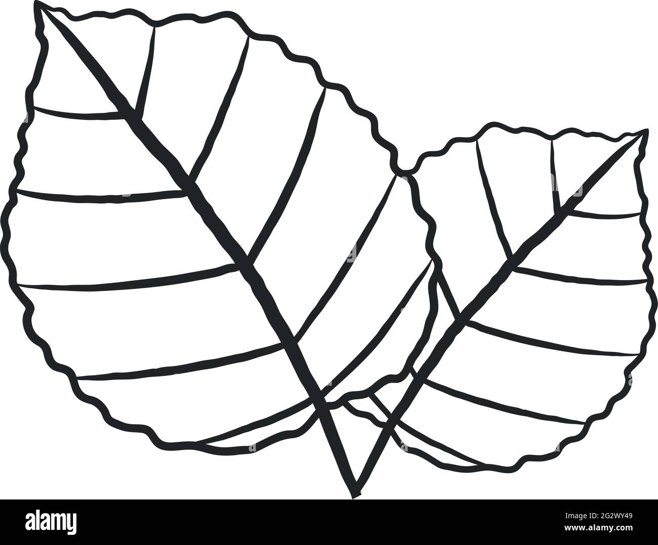 two leaves icon Stock Vector Image & Art - Alamy