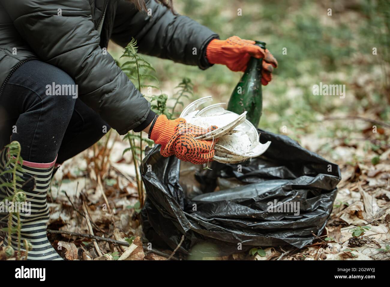 A volunteer girl with a garbage bag cleans up garbage in the forest ...