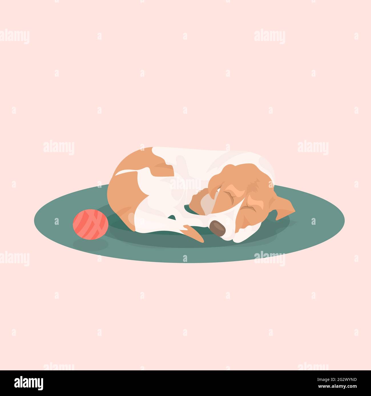Cute cozy dog breed Stock Vector Images - Alamy