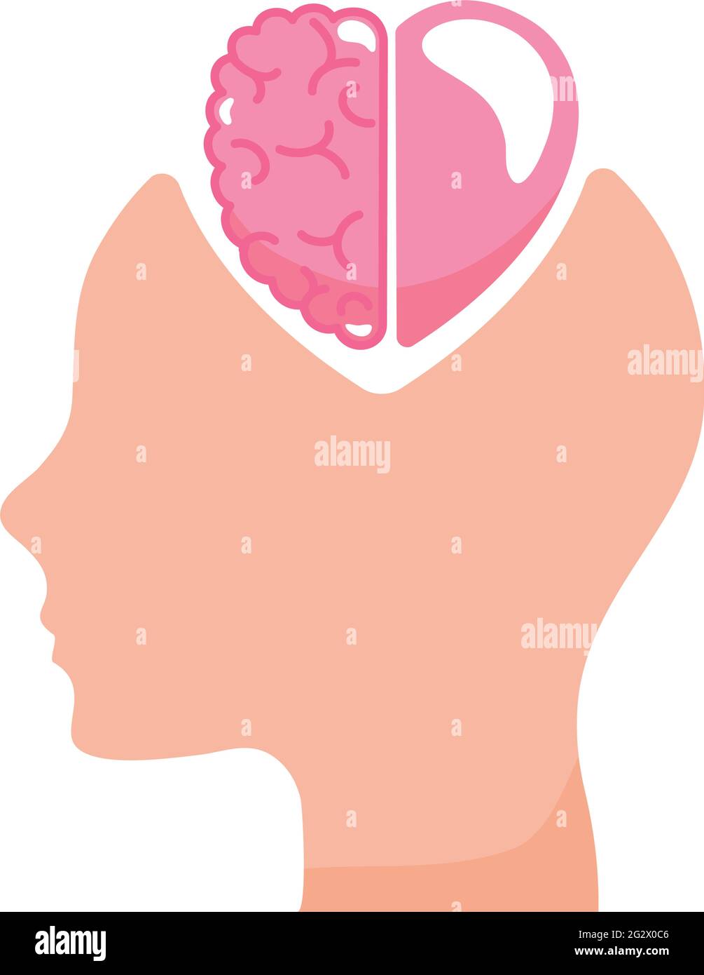 Half Human Brain High Resolution Stock Photography and Images - Alamy