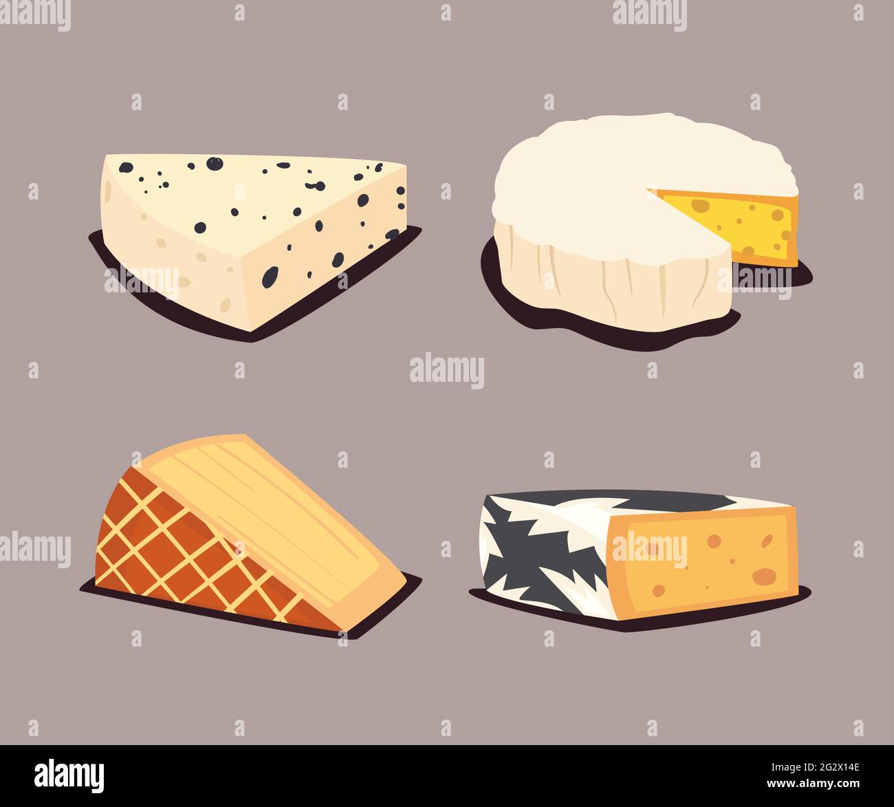 collection of various cheeses types Stock Vector Image & Art - Alamy