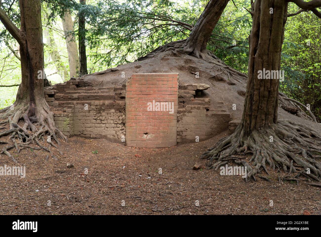 Bricked up bunker under tree roots Stock Photo - Alamy