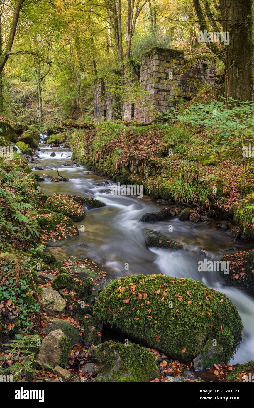 Autumn at Kennall Vale near Ponsanooth in Cornwall Stock Photo - Alamy