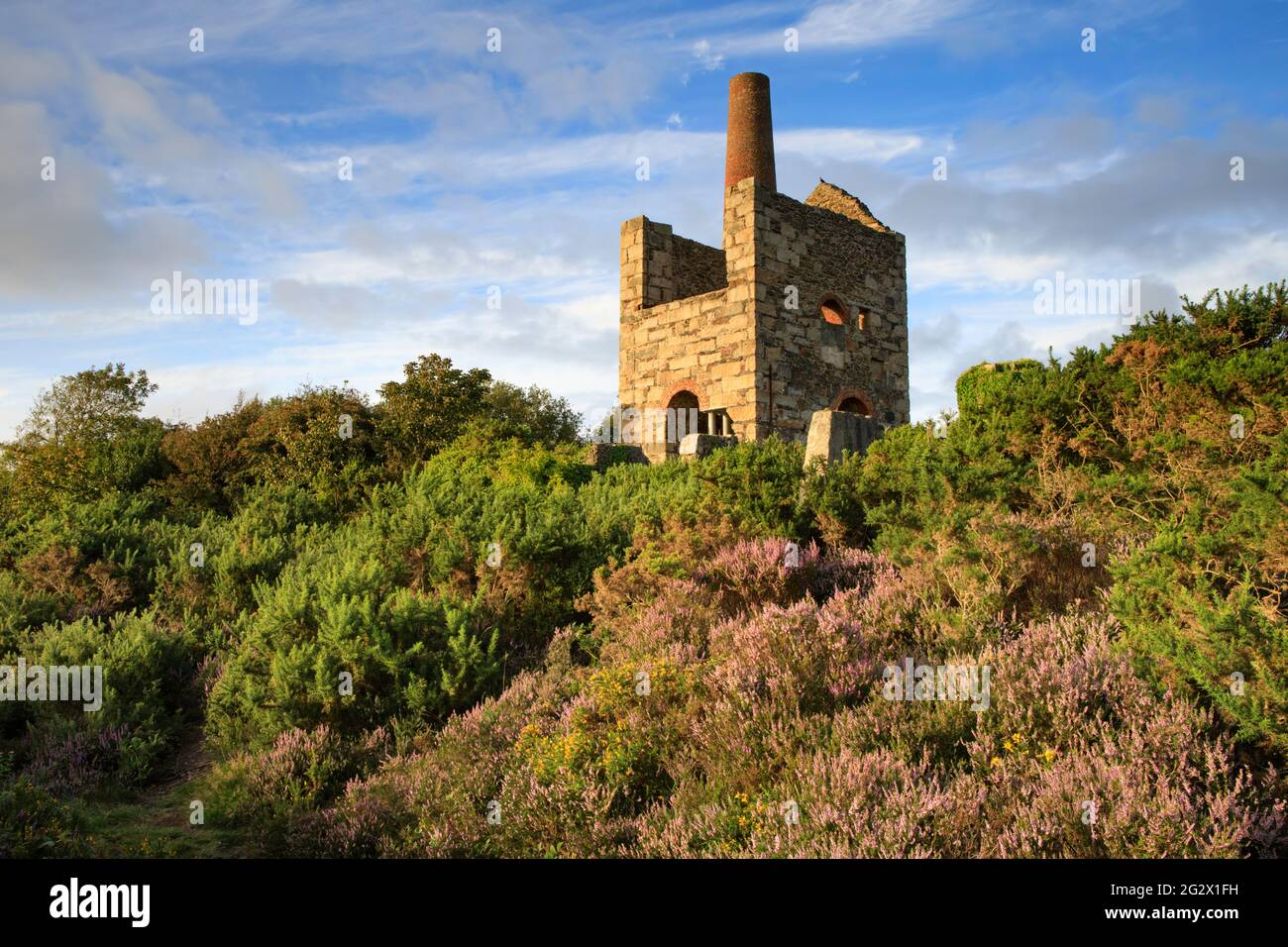 An engine house at Wheal Peevor near Redruth in Cornwall Stock Photo ...