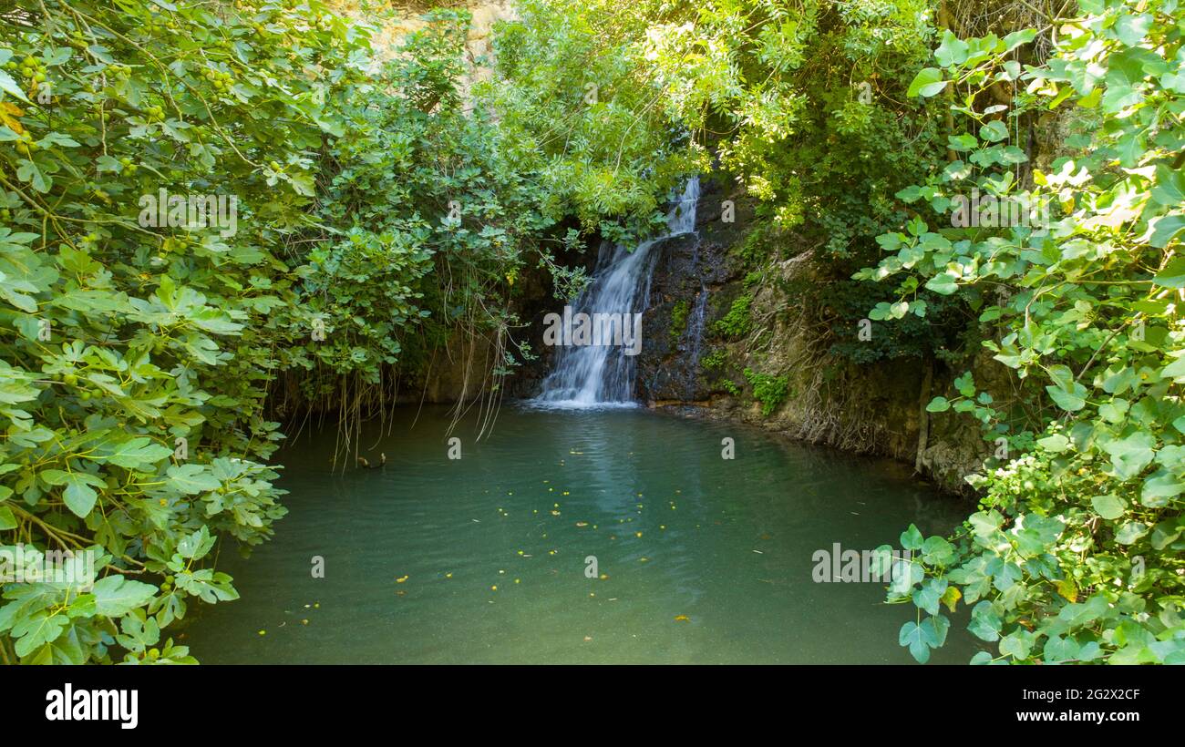 Aerial Photography of the Banias Stream (Banias River or Hermon River ...