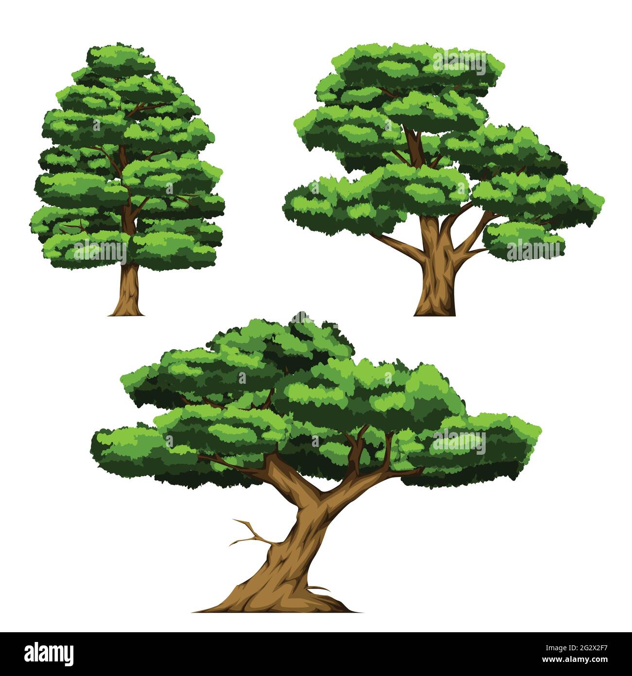 Illustration big cartoon oak tree Cut Out Stock Images & Pictures - Alamy
