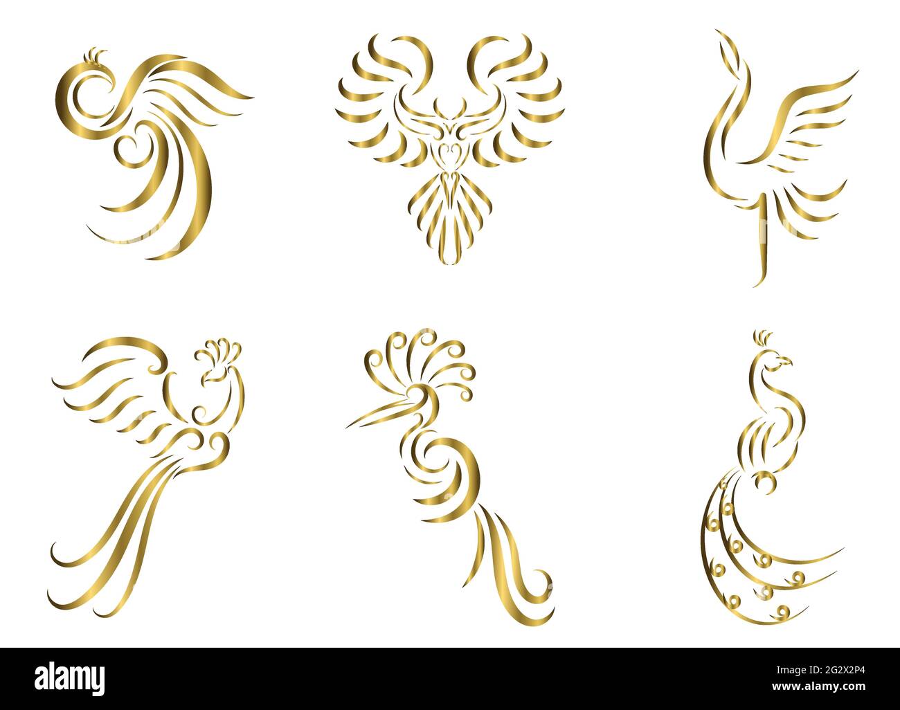 Set of six gold line art vector images of various beautiful birds such ...