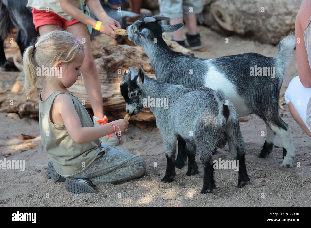 children care for animals, especially kids Stock Photo - Alamy