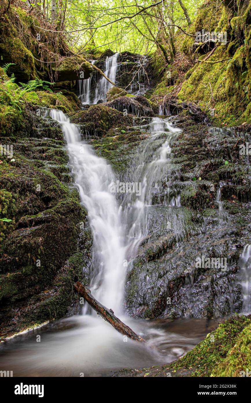 Photography of waterfall in forest Stock Photo - Alamy