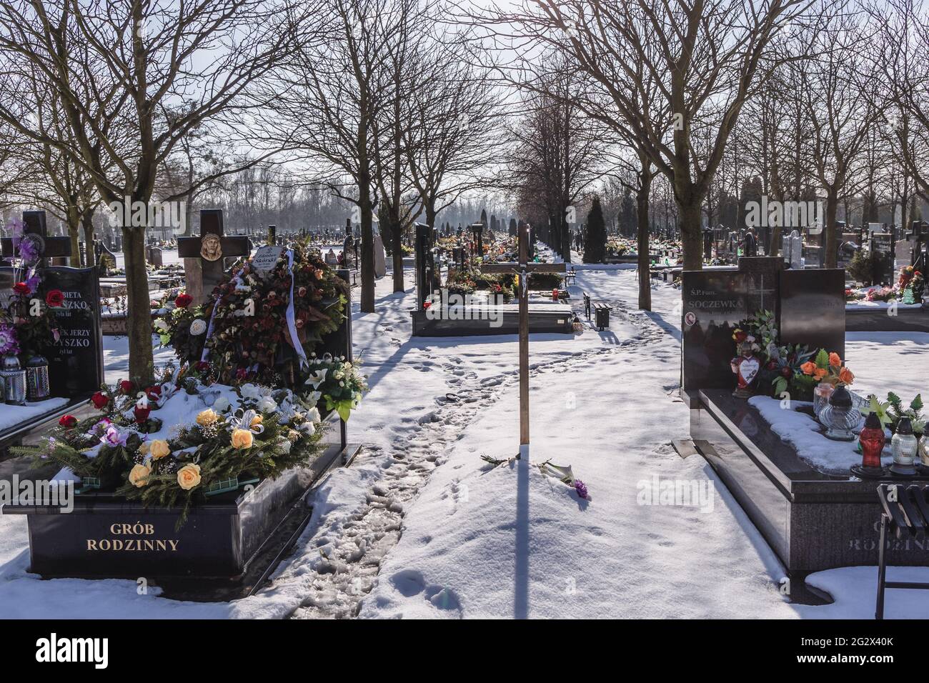 Northern cemetery hi-res stock photography and images - Alamy