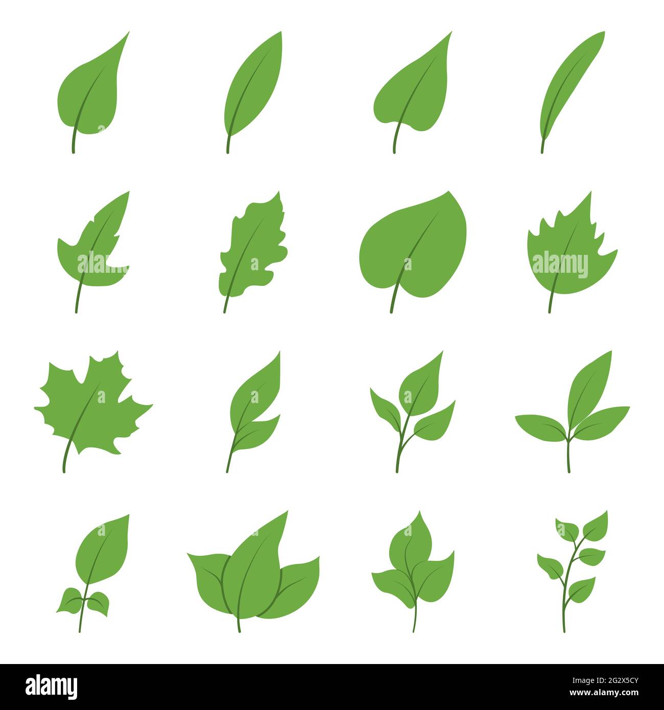 Set of tree leaves in a flat style. Vector illustration of leaves and ...