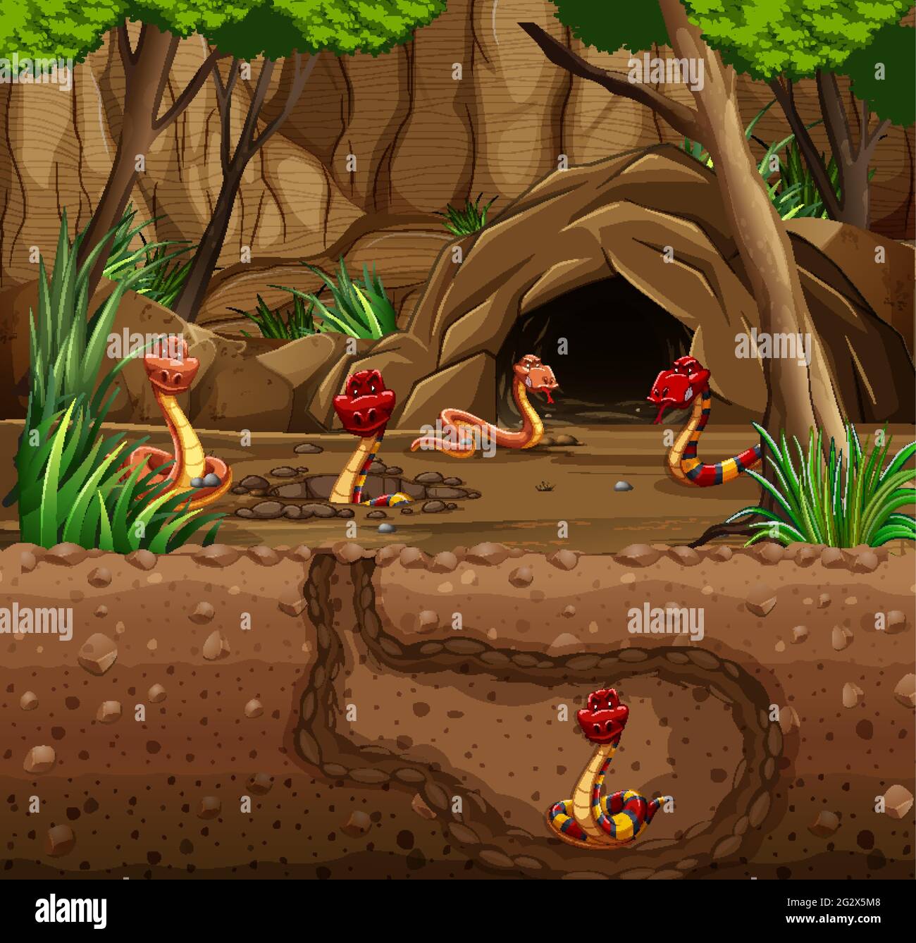 Underground animal burrow with snake family illustration Stock Vector Image & Art - Alamy