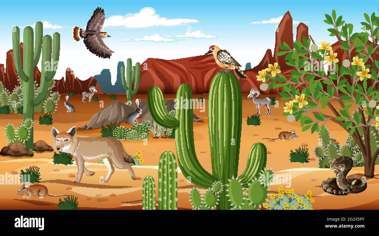 Desert Plants And Animals Clipart