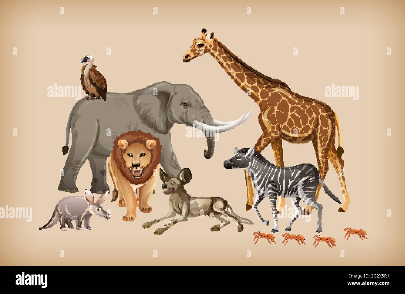 Group of wild animal on background illustration Stock Vector Image ...
