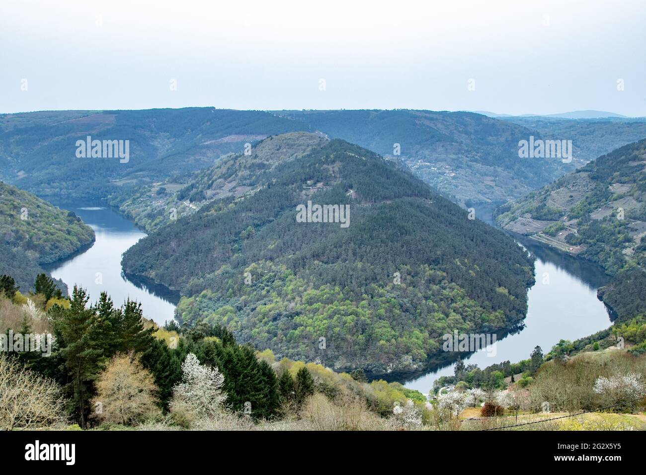 landscape of the ribeira sacra natural park in the sil canyon, galicia ...