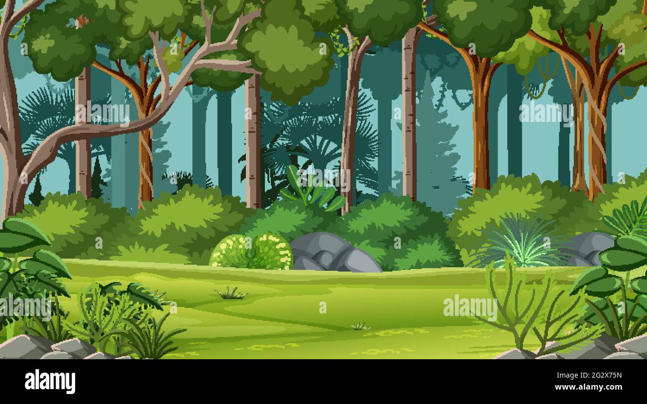 Jungle scene with various forest trees illustration Stock Vector Image ...