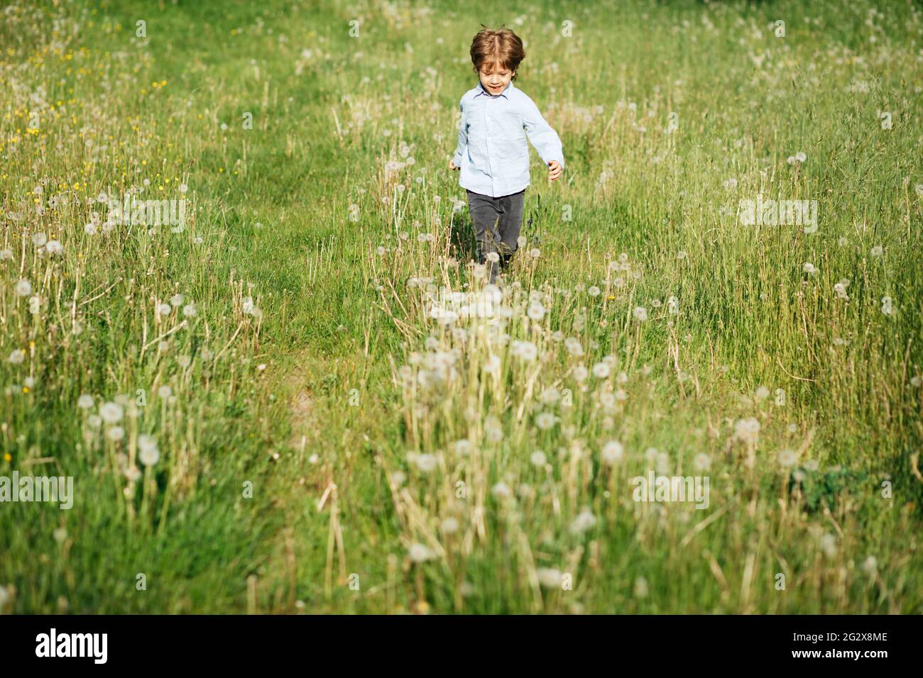 Little boy 3 year playing in flower meadow, happy activity, running and ...