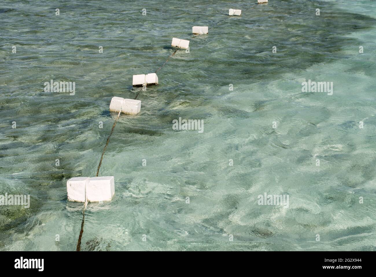 Beauty of the red sea Stock Photo - Alamy