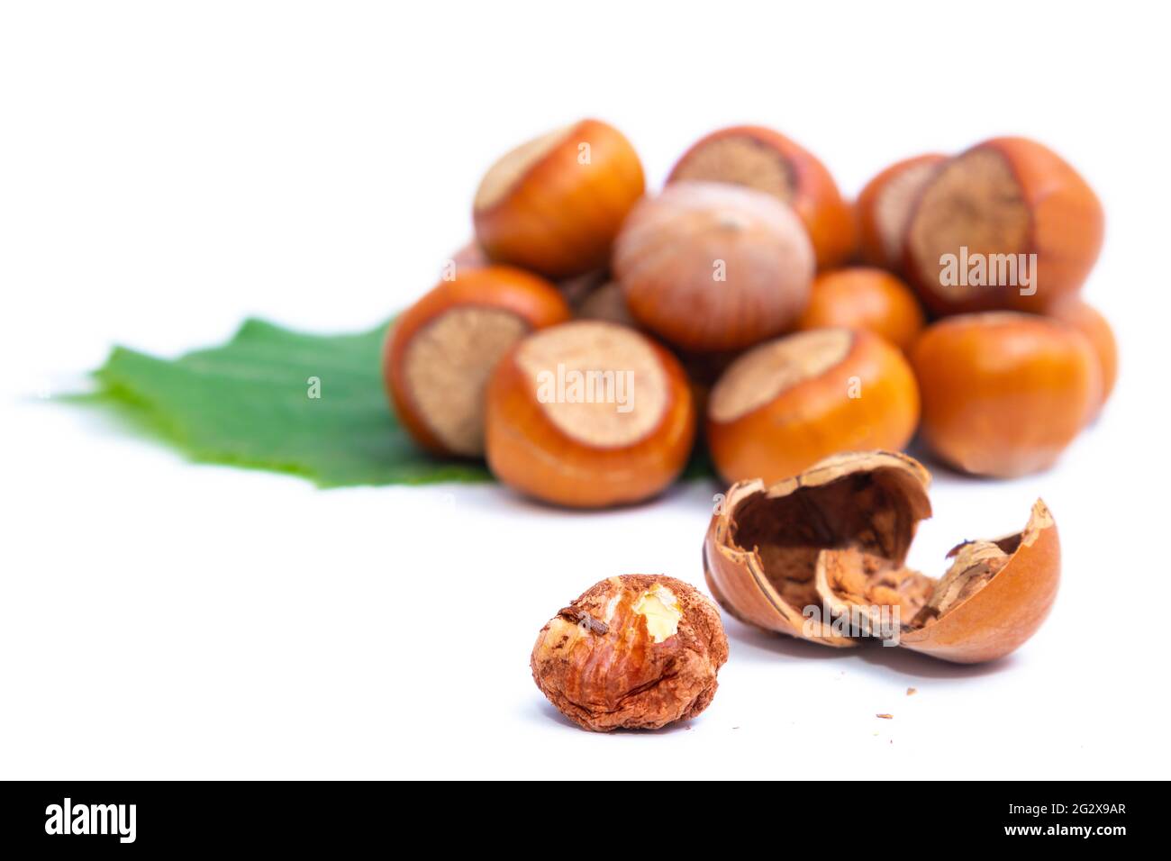 open natural hazelnut isolated on white background Stock Photo - Alamy