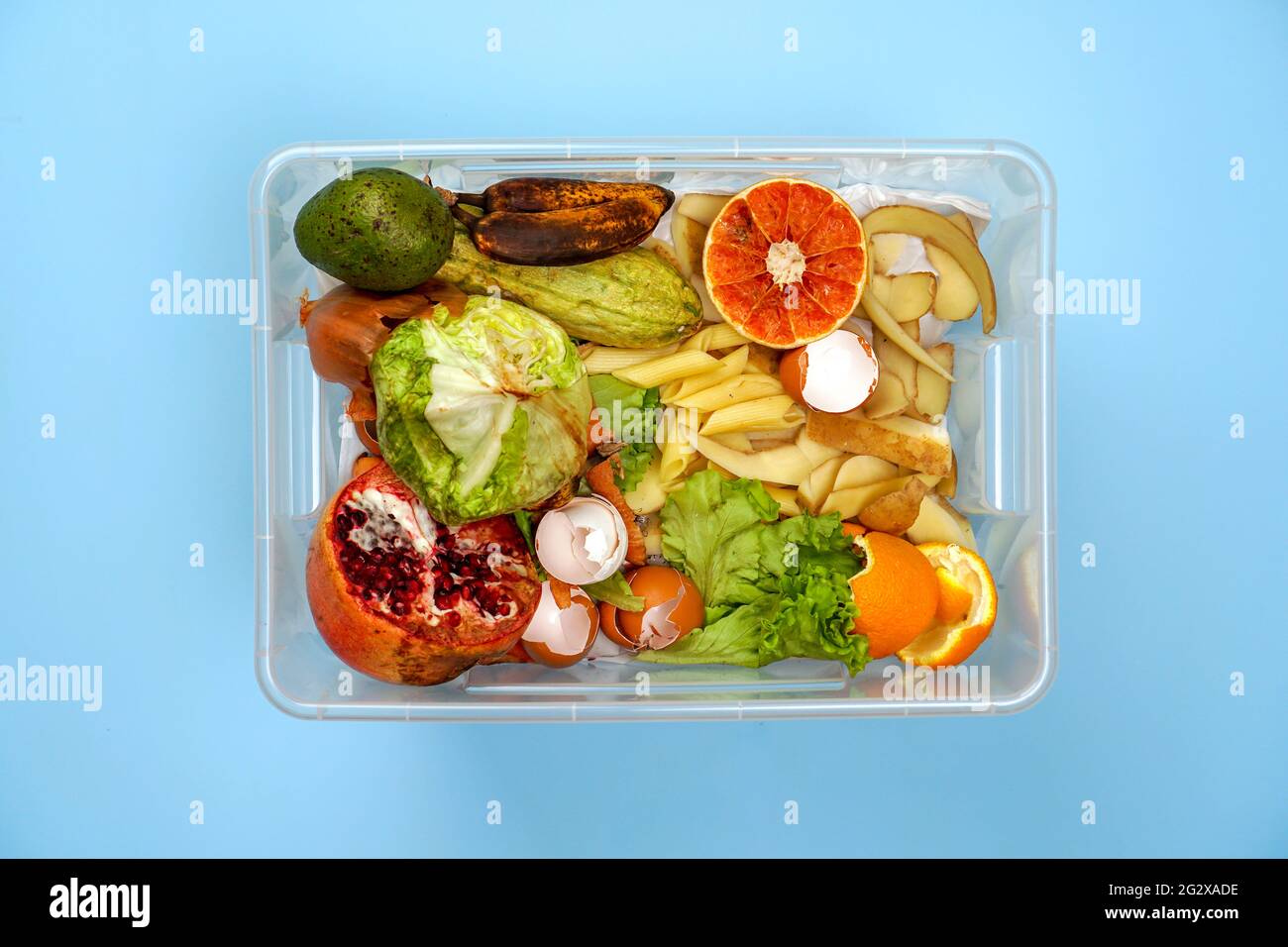 Container with organic garbage: rotten fruits and vegetables, egg ...