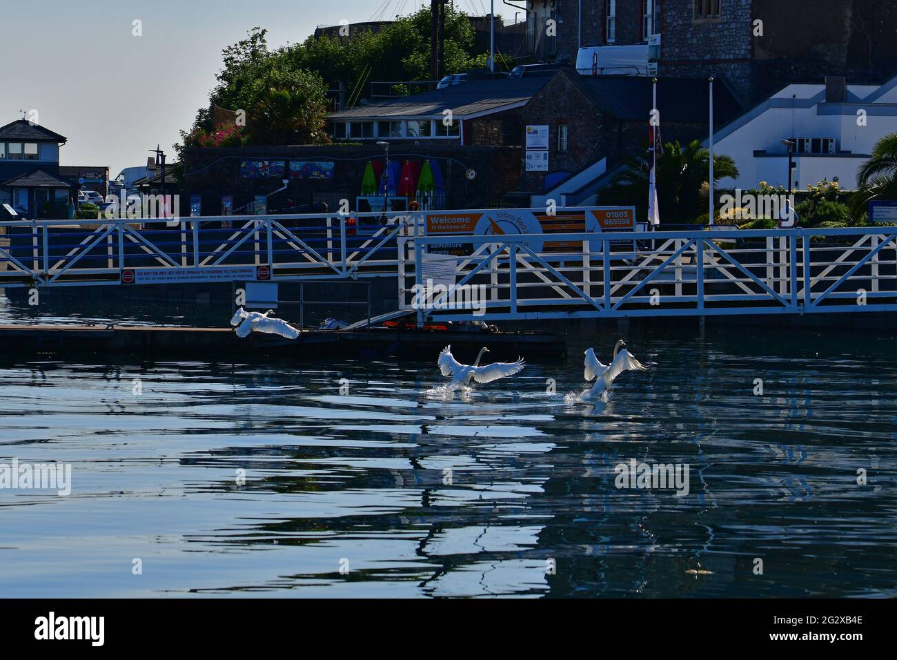 Brixham, UK. 13th June, 2021. On a very Hot early morning before people ...