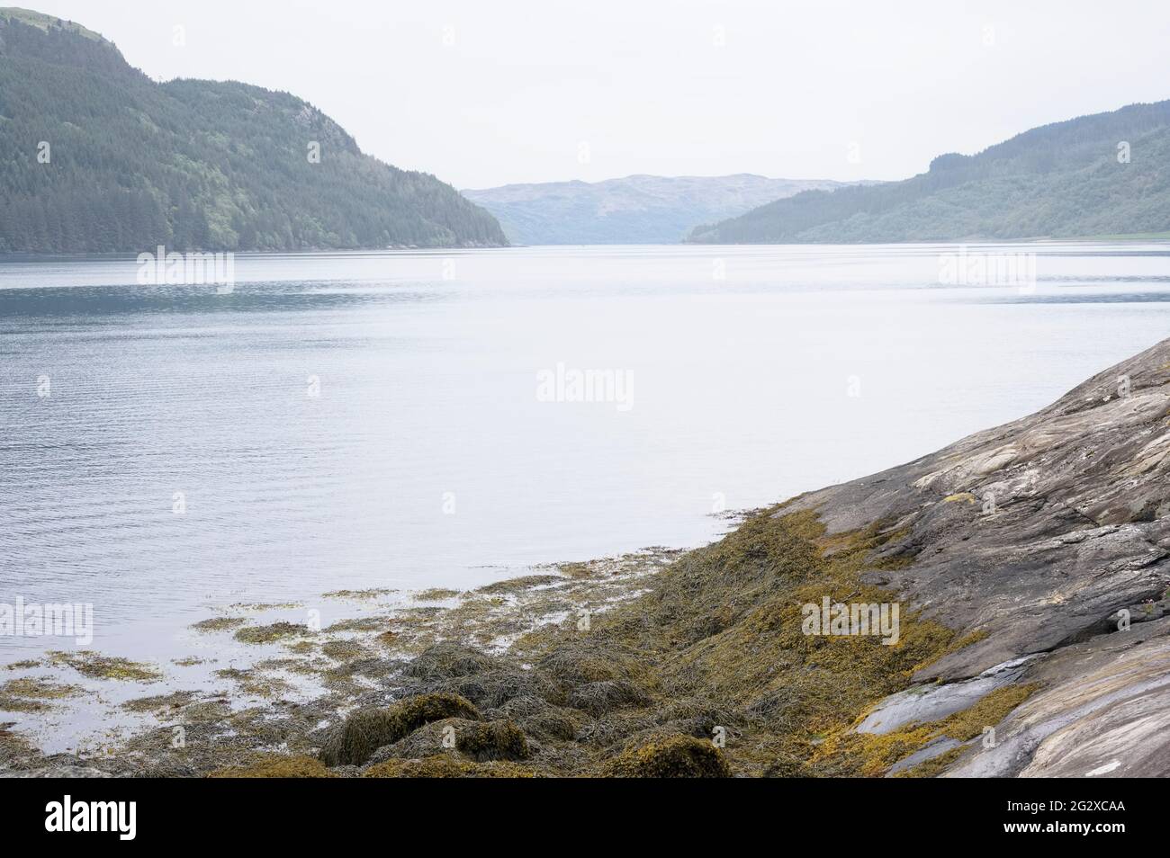 Carrick castle hi-res stock photography and images - Alamy