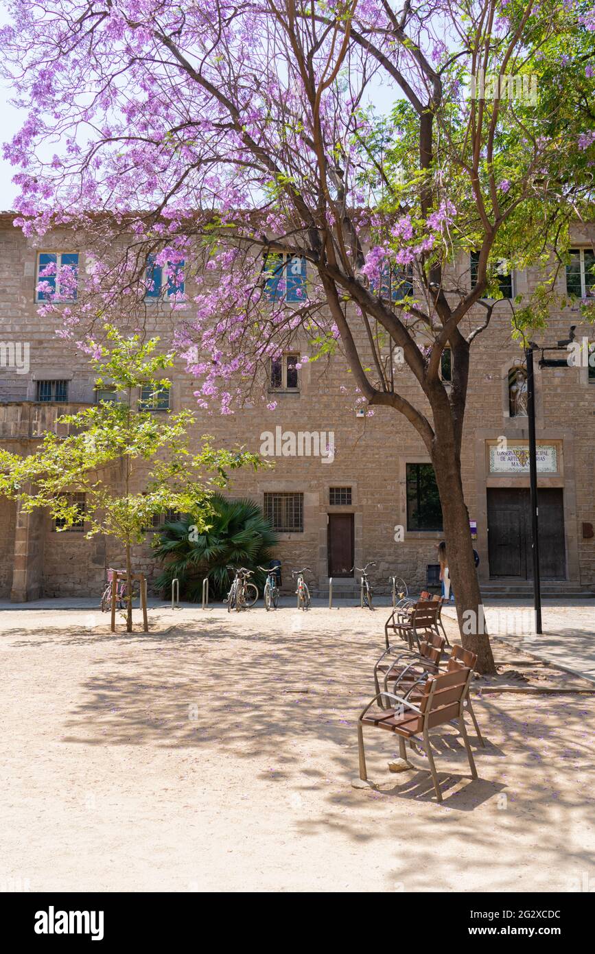 BARCELONA, SPAIN - JUNE 10, 2019: Purple Flowering Trees In The Center ...