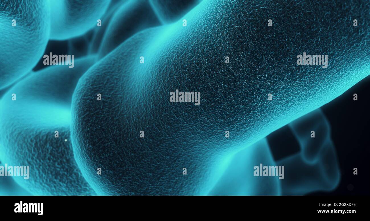 Microscopic view of a organic cell Stock Photo - Alamy