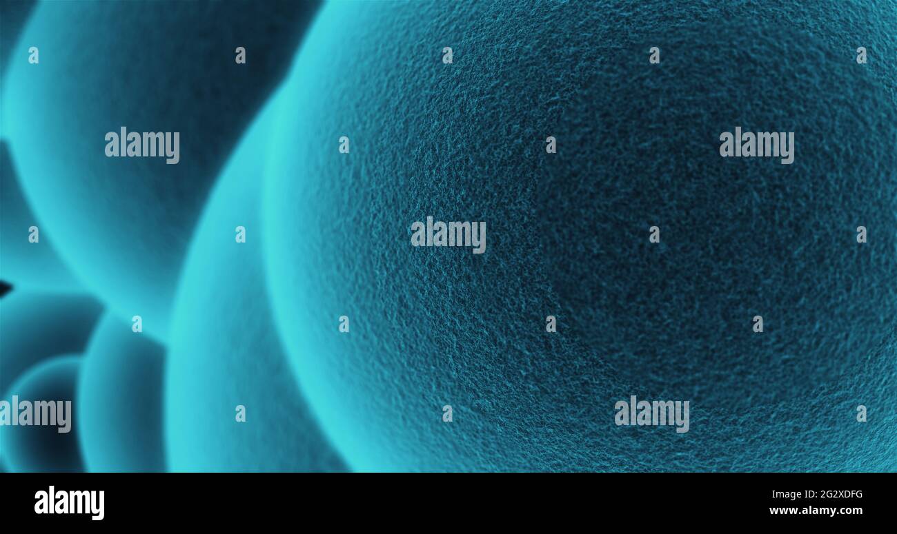 Organic cells in human tissue, microscopic view Stock Photo - Alamy