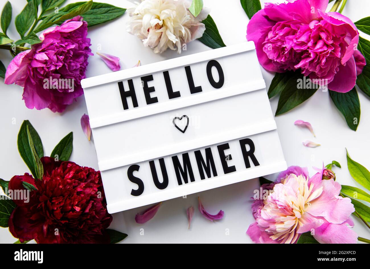 Light box with HELLO SUMMER text and peonies flowers on a white ...