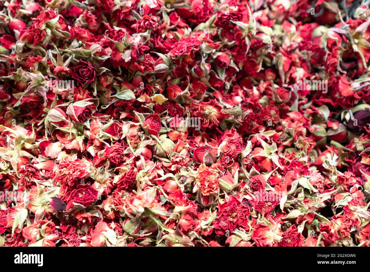 Dry roses tea Background dried petals of rose Healing herbs herbal ...