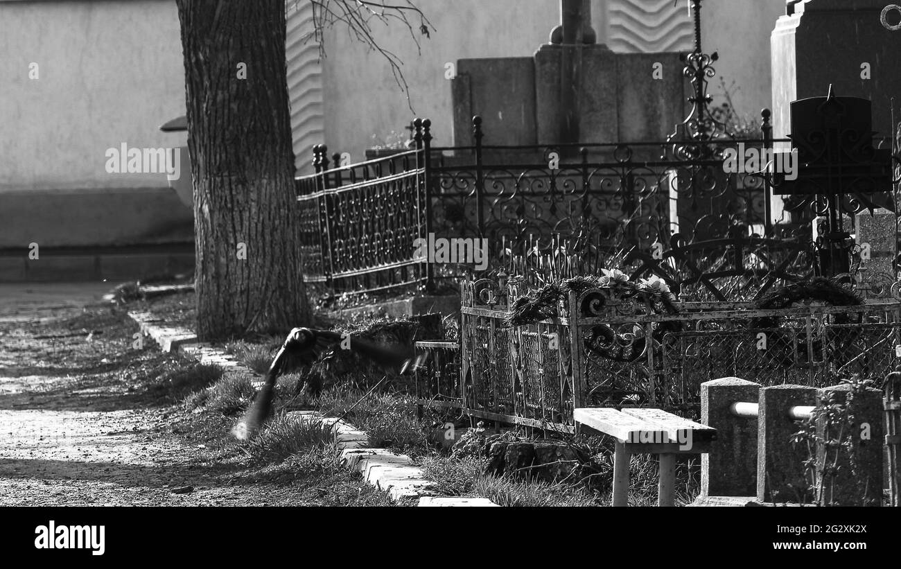 A grayscale shot of an old graveyard Stock Photo - Alamy