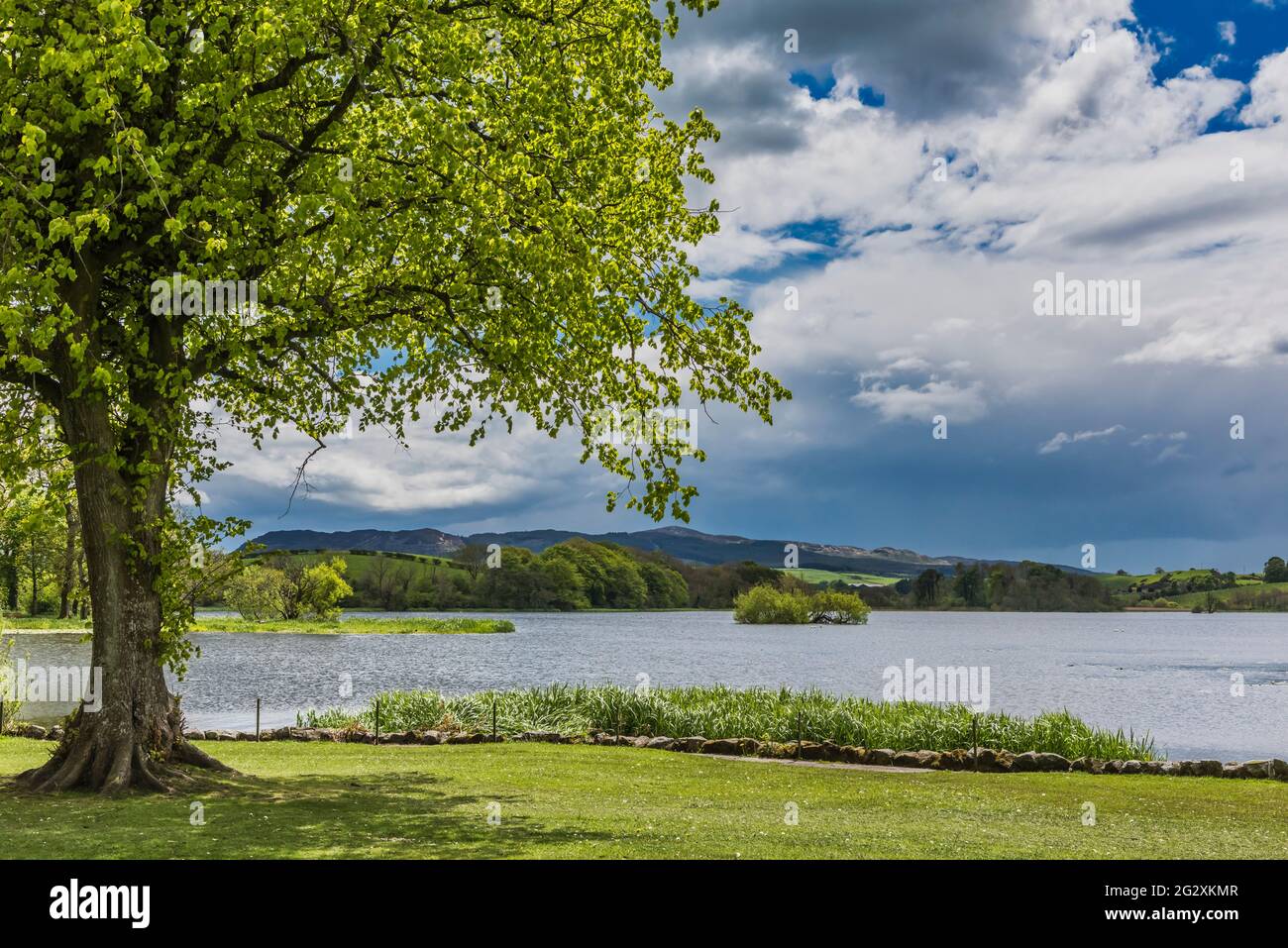 Scenic Carlingwark Loch and park the major landmark at the town of ...