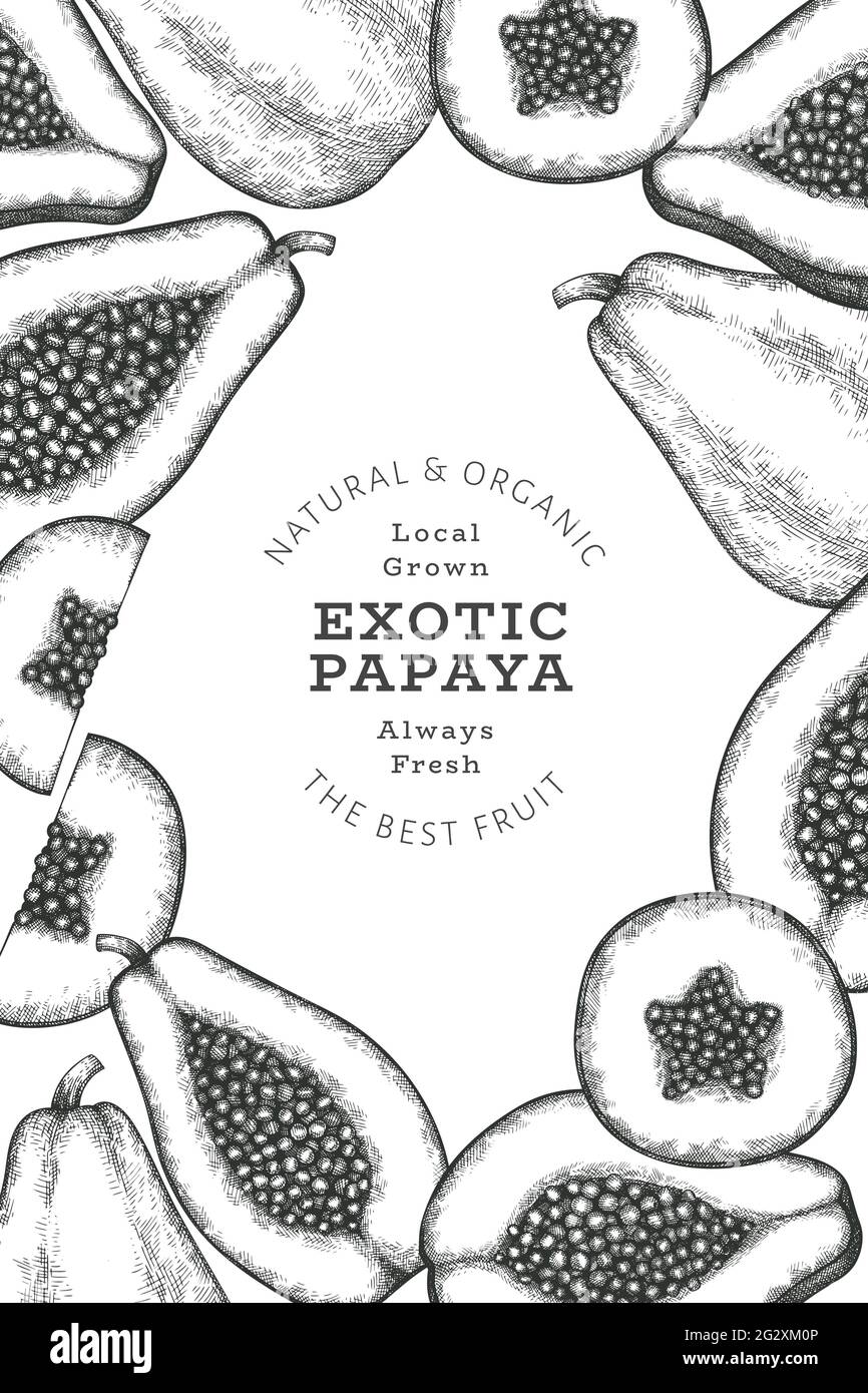 Hand drawn sketch style papaya banner. Organic fresh fruit vector ...