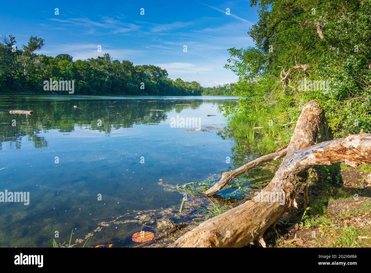 Lobau donau oder kanal hi-res stock photography and images - Alamy