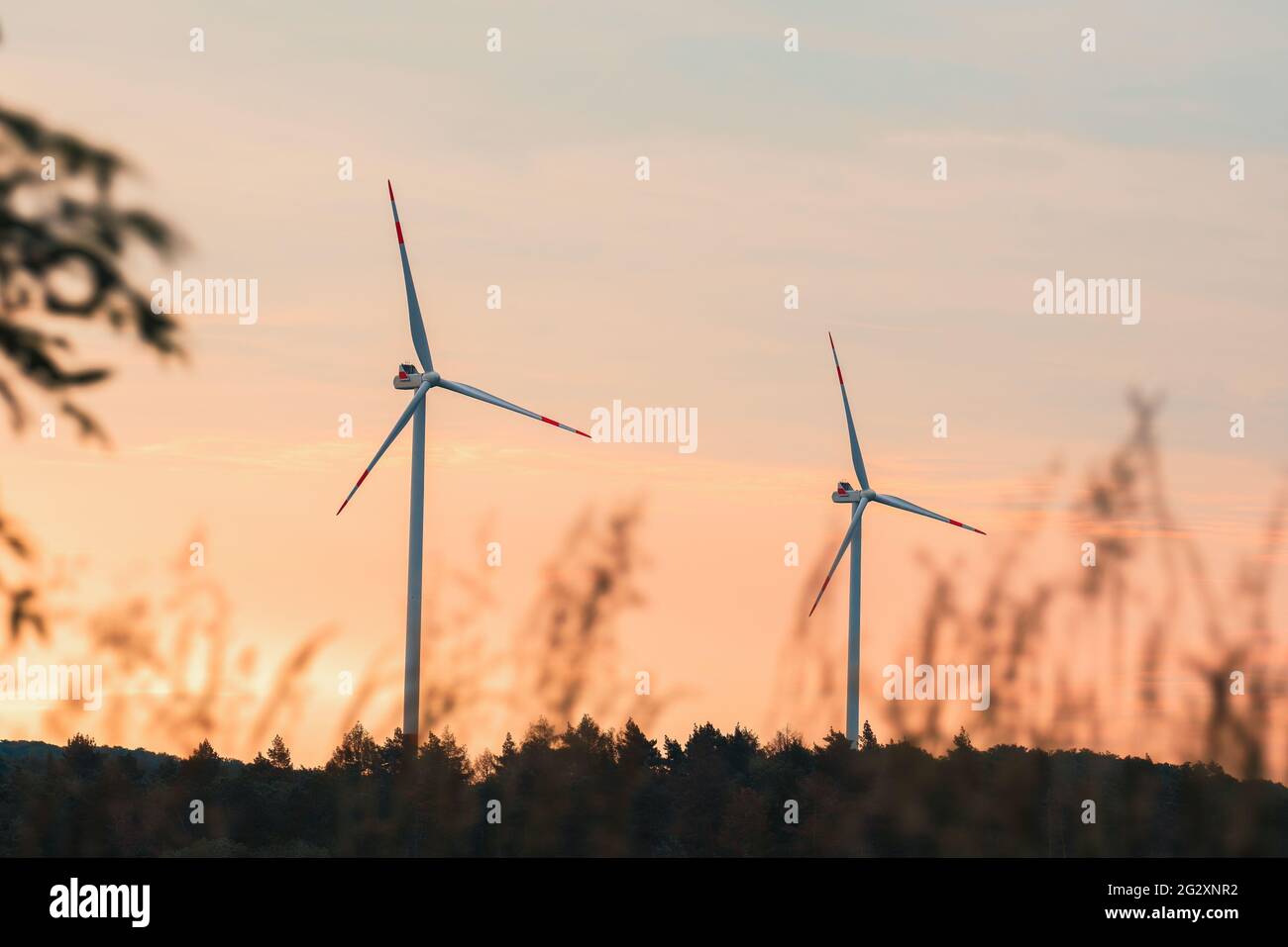 Pinwheels in nature hi-res stock photography and images - Alamy