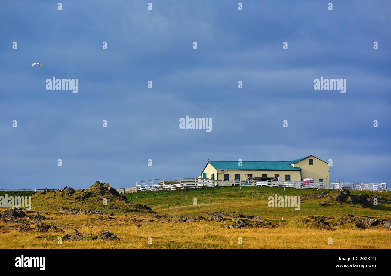 Icelandic farmhouse on Heimaey, Vestmannaeyar Stock Photo - Alamy