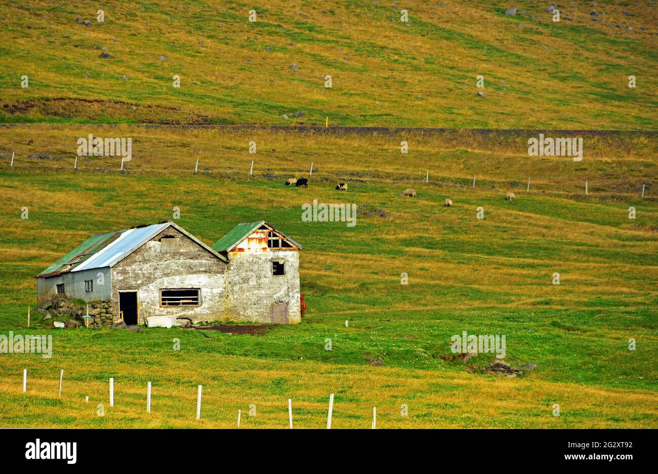 Icelandic farmhouse on Heimaey, Vestmannaeyar Stock Photo - Alamy