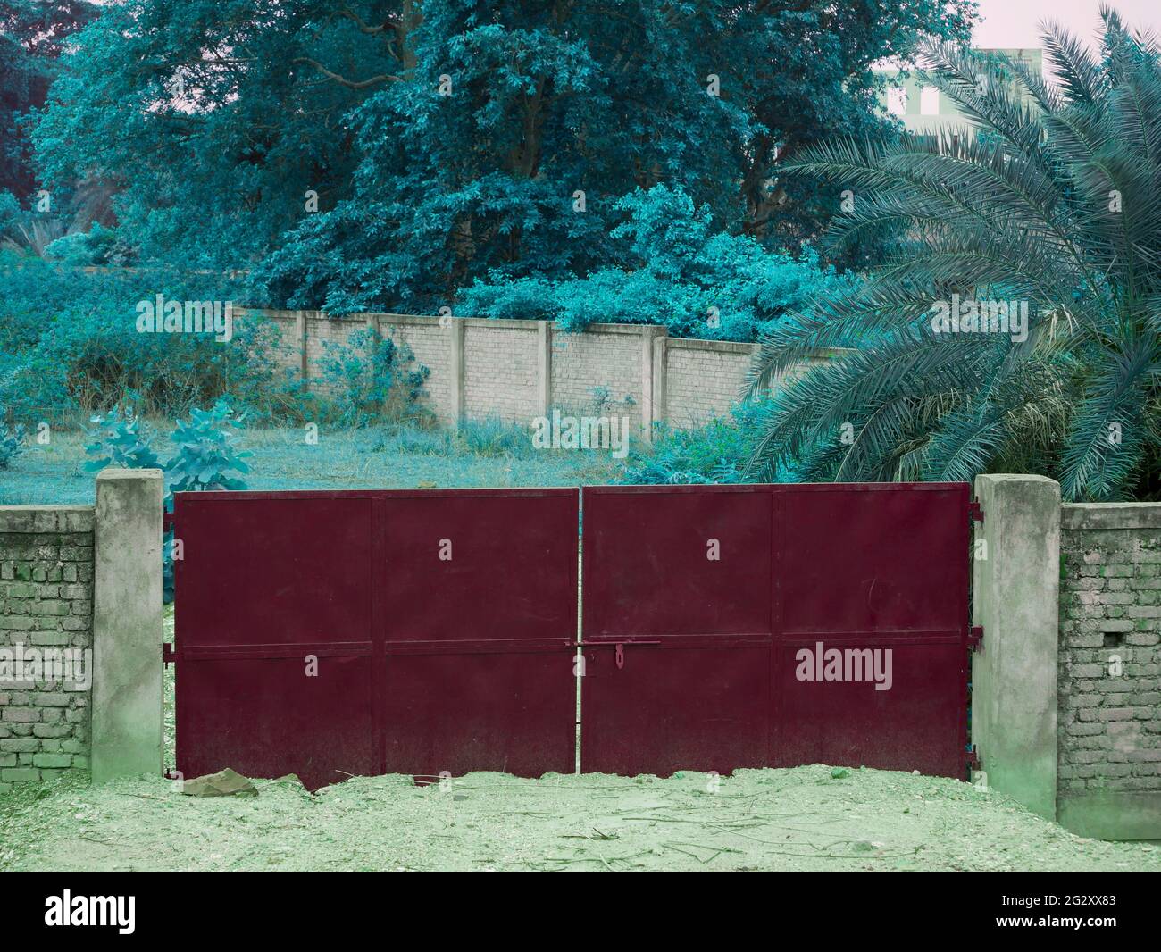 Boundary wall plot closed gate around forest area natural environment ...